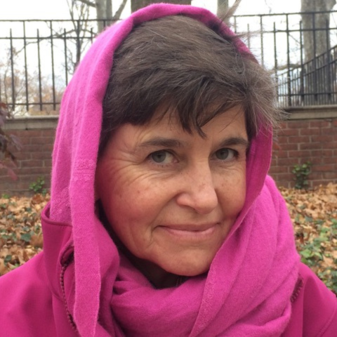 Professor Amy Erickson spoke at a history society meeting of the ...